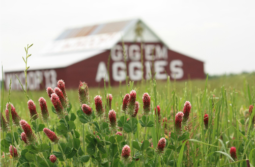 HOWDY! Welcome to the Katy West Houston Aggie Moms’ Club – Katy West ...